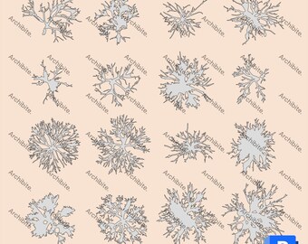 Revit Detail Item - Summer Trees Plan - Etsy