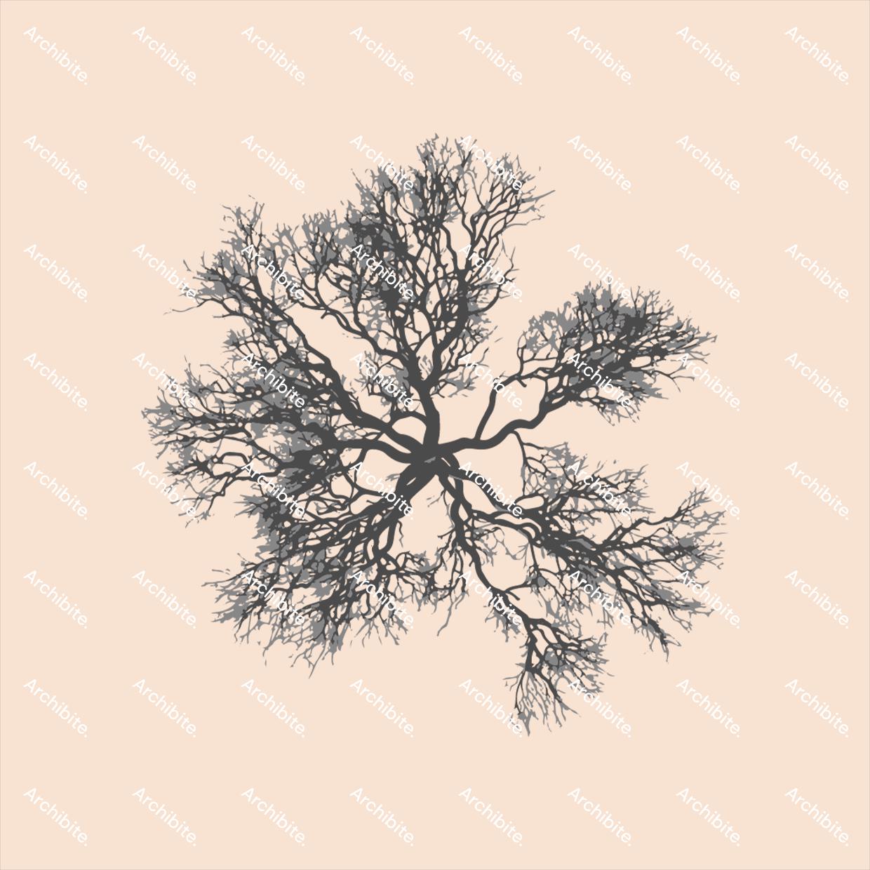 Photoshop Brushes - Winter Trees Plan - Etsy