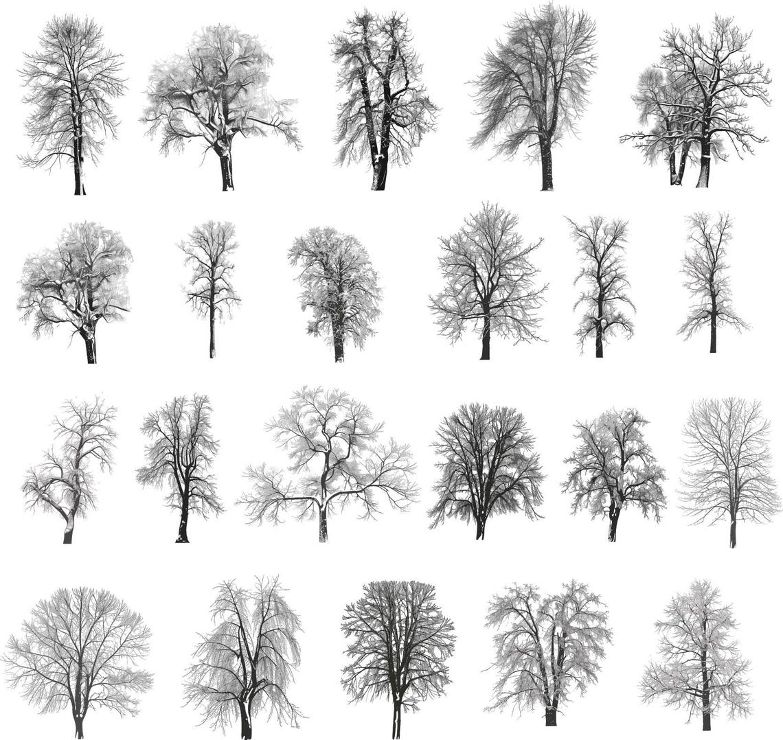 Photoshop Brushes Winter Trees Elevation - Etsy