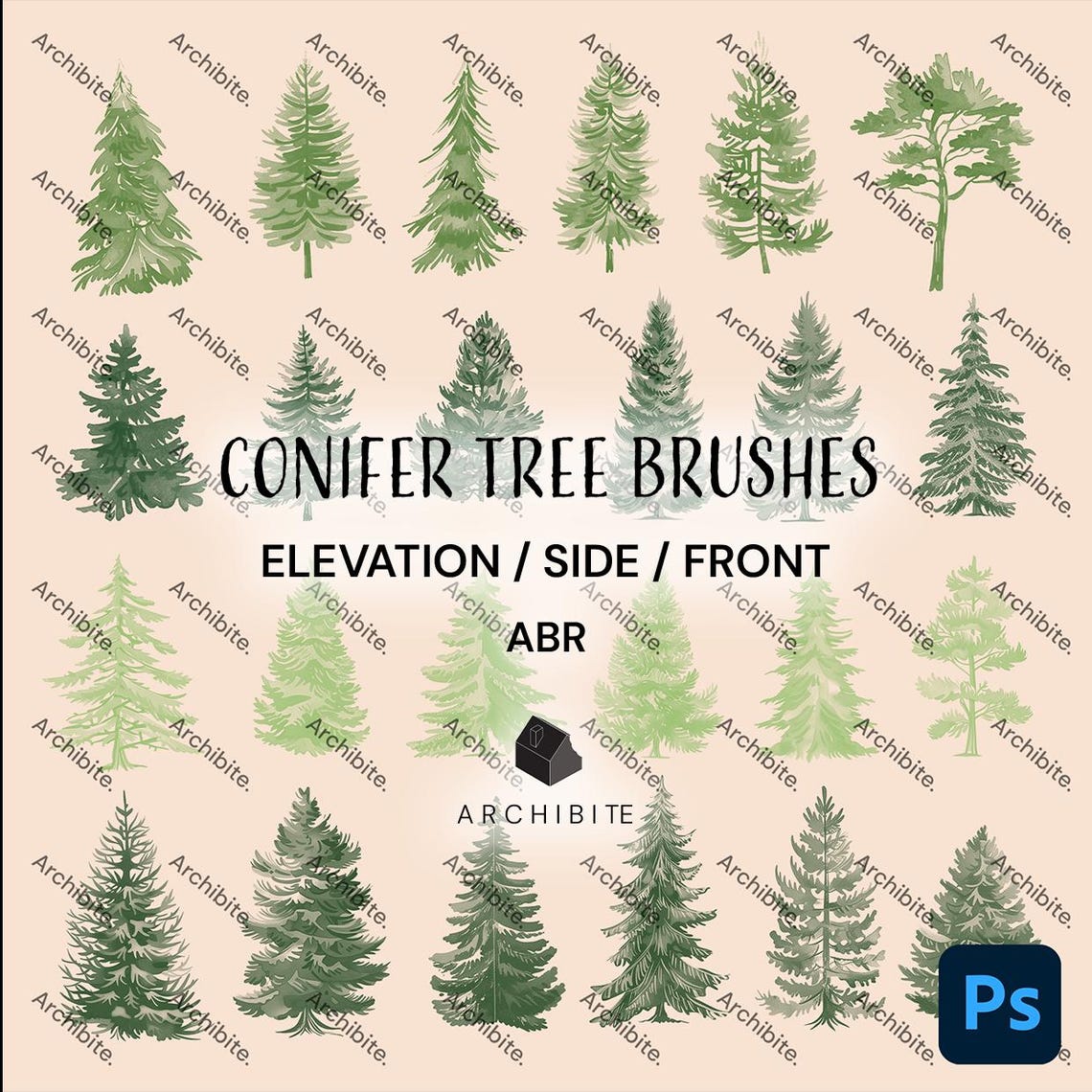 Photoshop Brushes - Conifer Tree Elevation - Etsy
