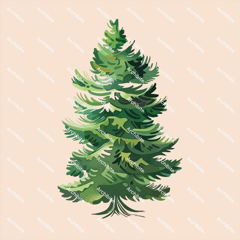 Vector Cutouts - Conifer Trees Elevation - Etsy