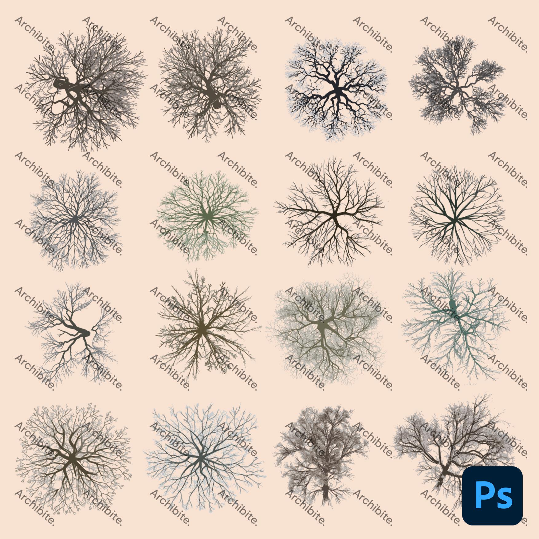 Megapack Photoshop Brushes Top View Trees - Etsy