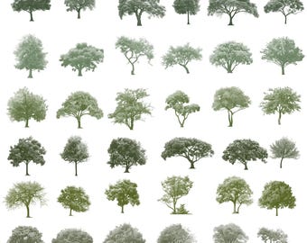 Photoshop Brushes Palm Trees Elevation - Etsy