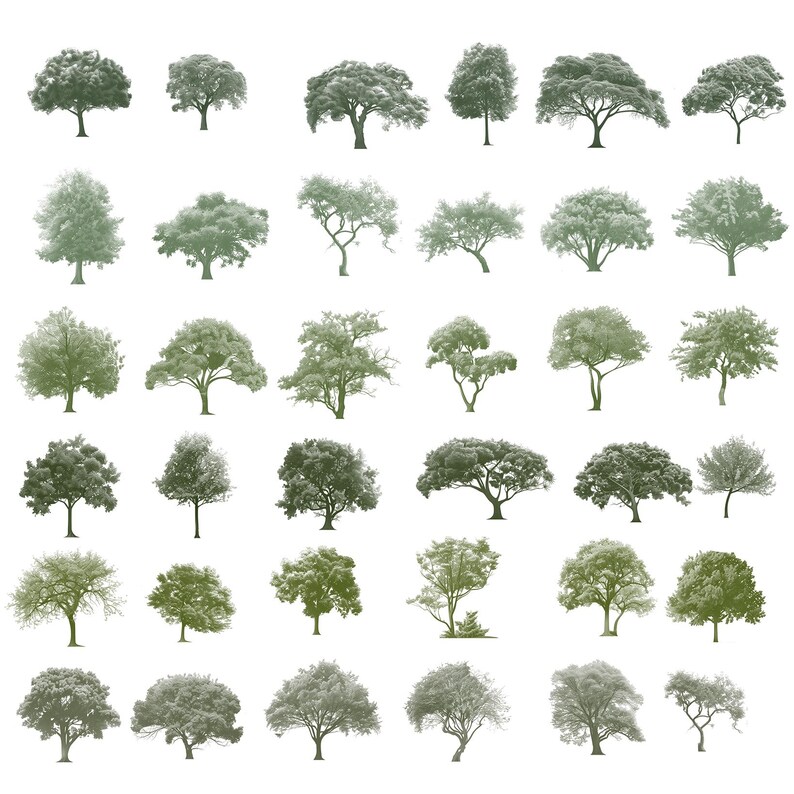 Photoshop Brushes Summer Trees Elevation - Etsy