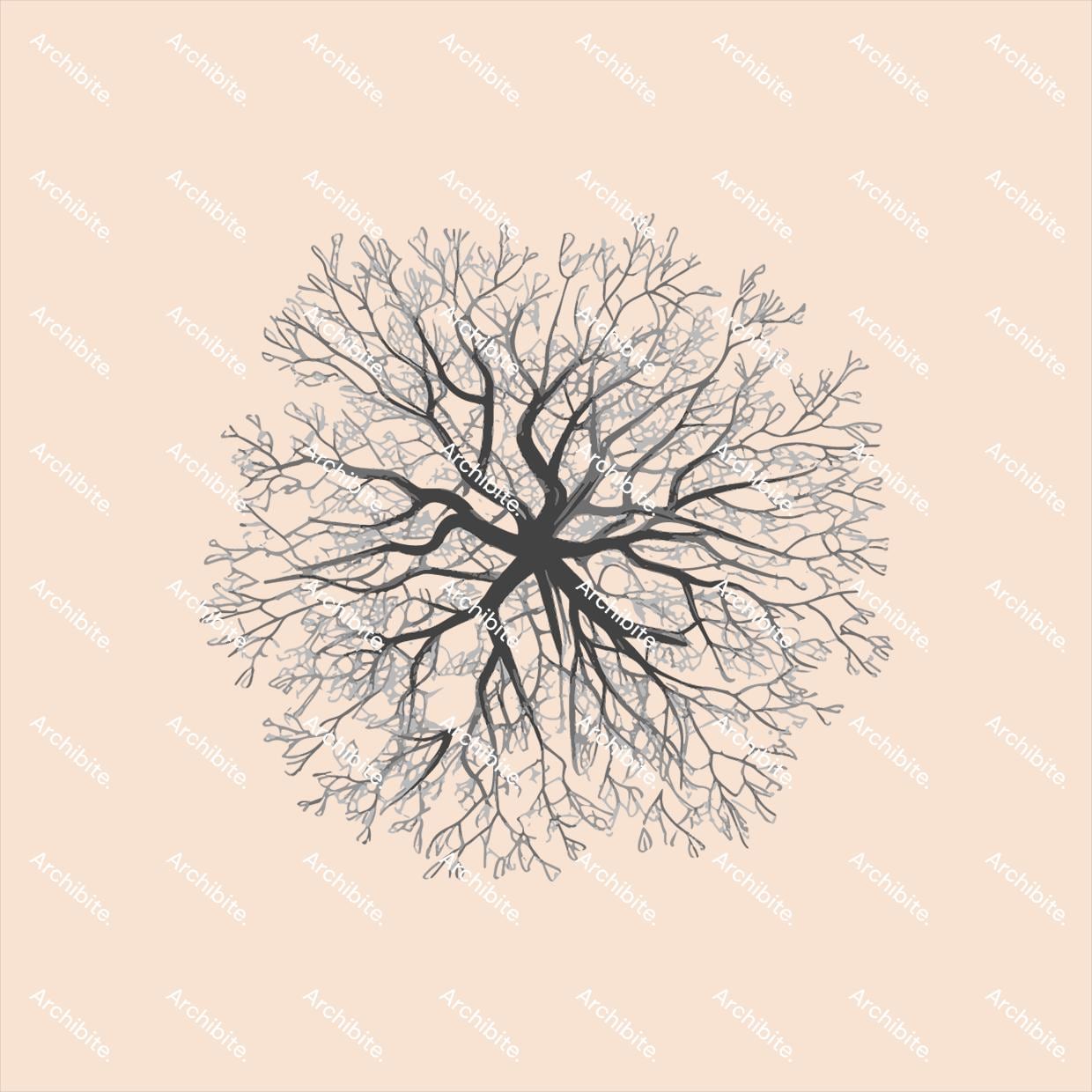 Photoshop Brushes - Winter Trees Plan - Etsy