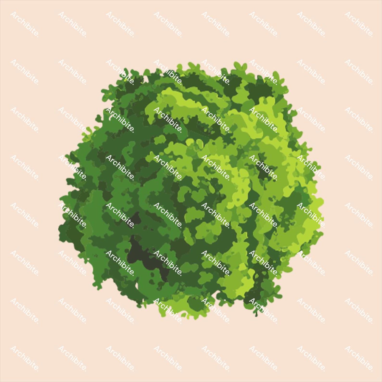 Vector Cutouts - Summer Trees Plan - Etsy