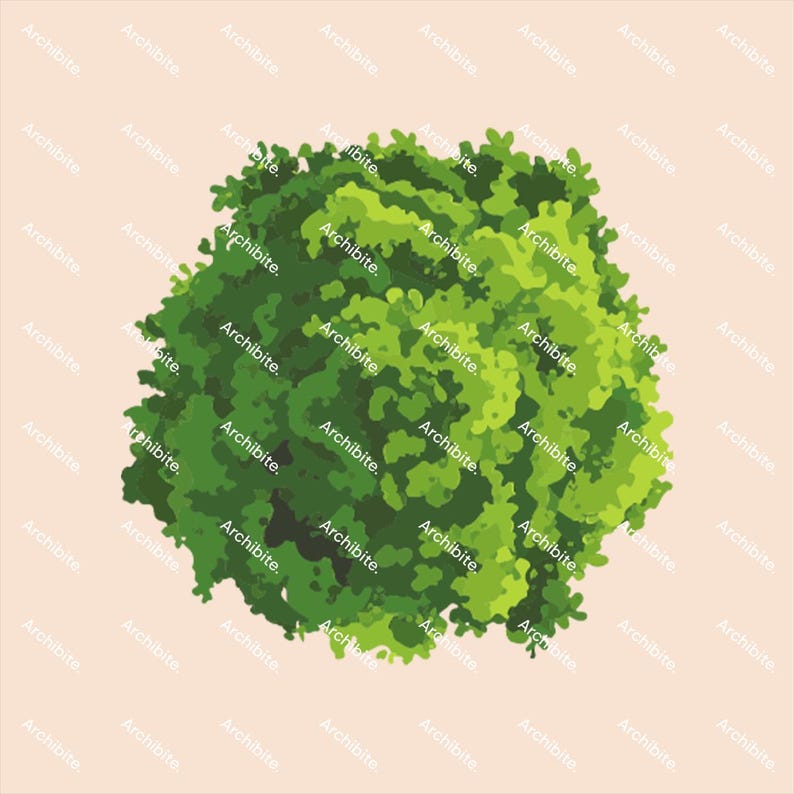 Vector Cutouts - Summer Trees Plan - Etsy