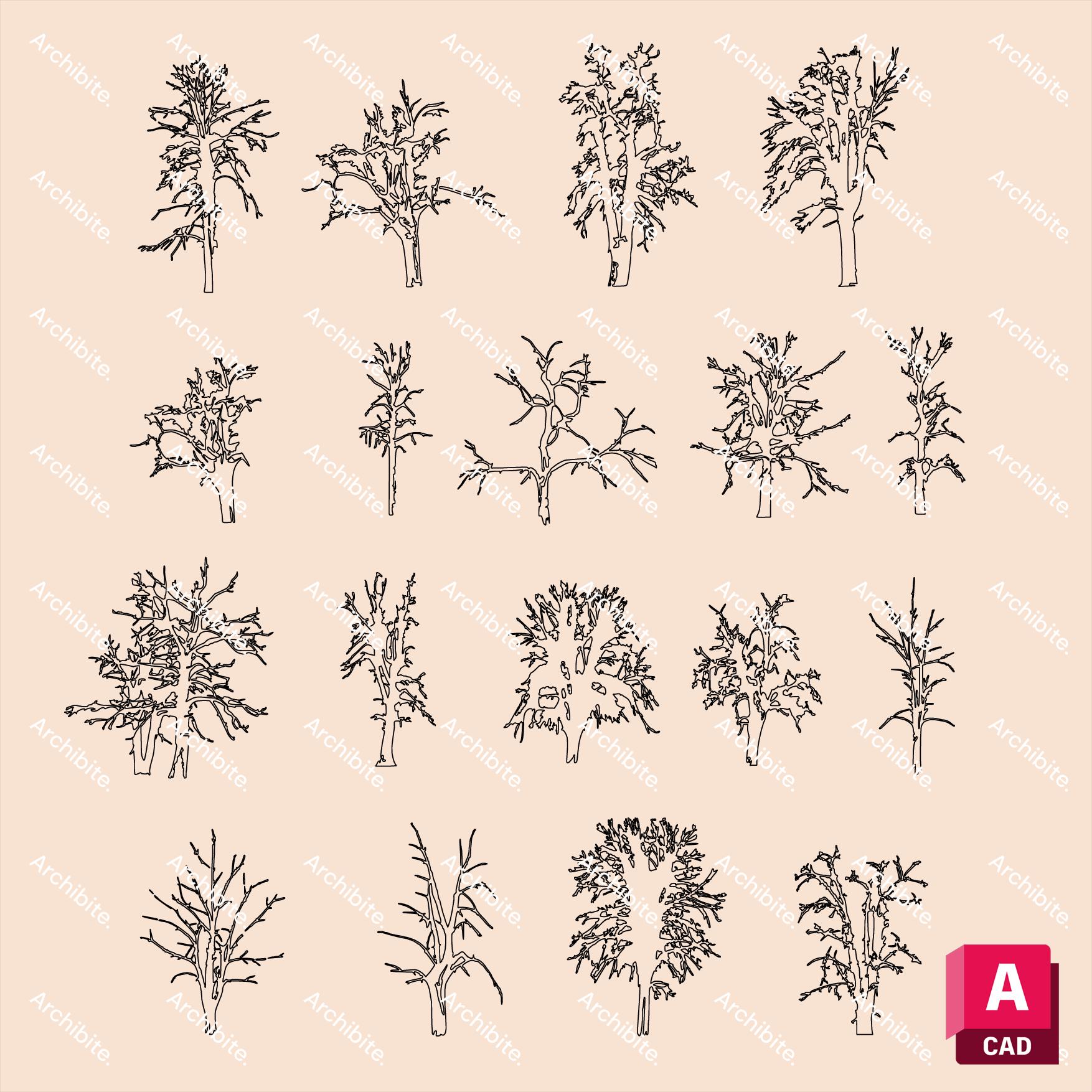 DWG - Winter Trees Elevation - Etsy