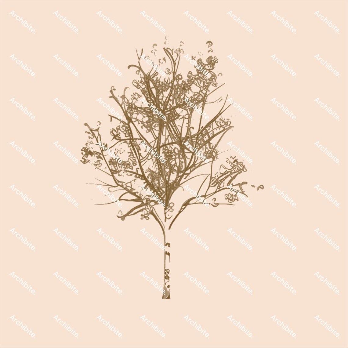 Photoshop Brushes - Autumn Trees Elevation - Etsy