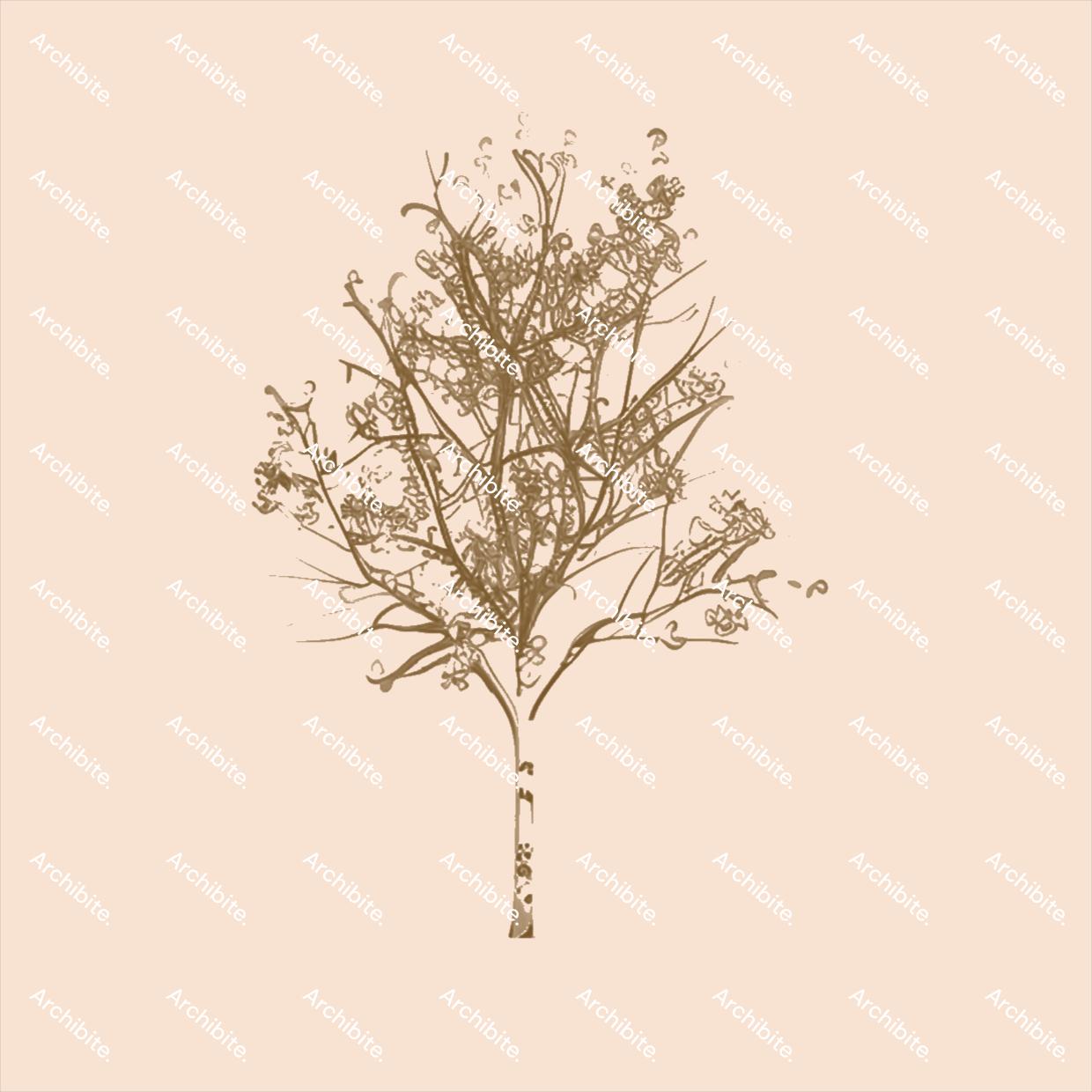 Photoshop Brushes - Autumn Trees Elevation - Etsy