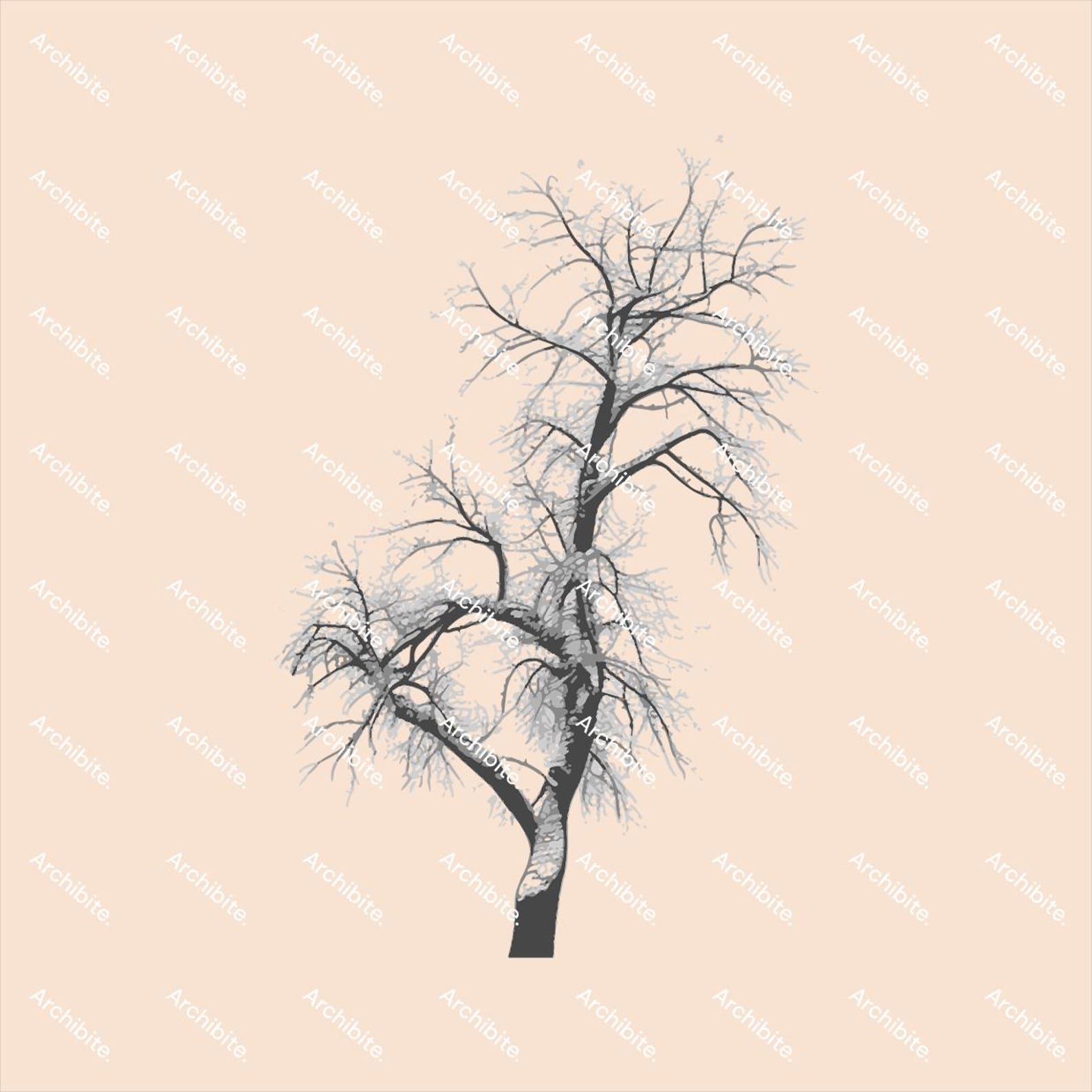 Photoshop Brushes - Winter Trees Elevation - Etsy