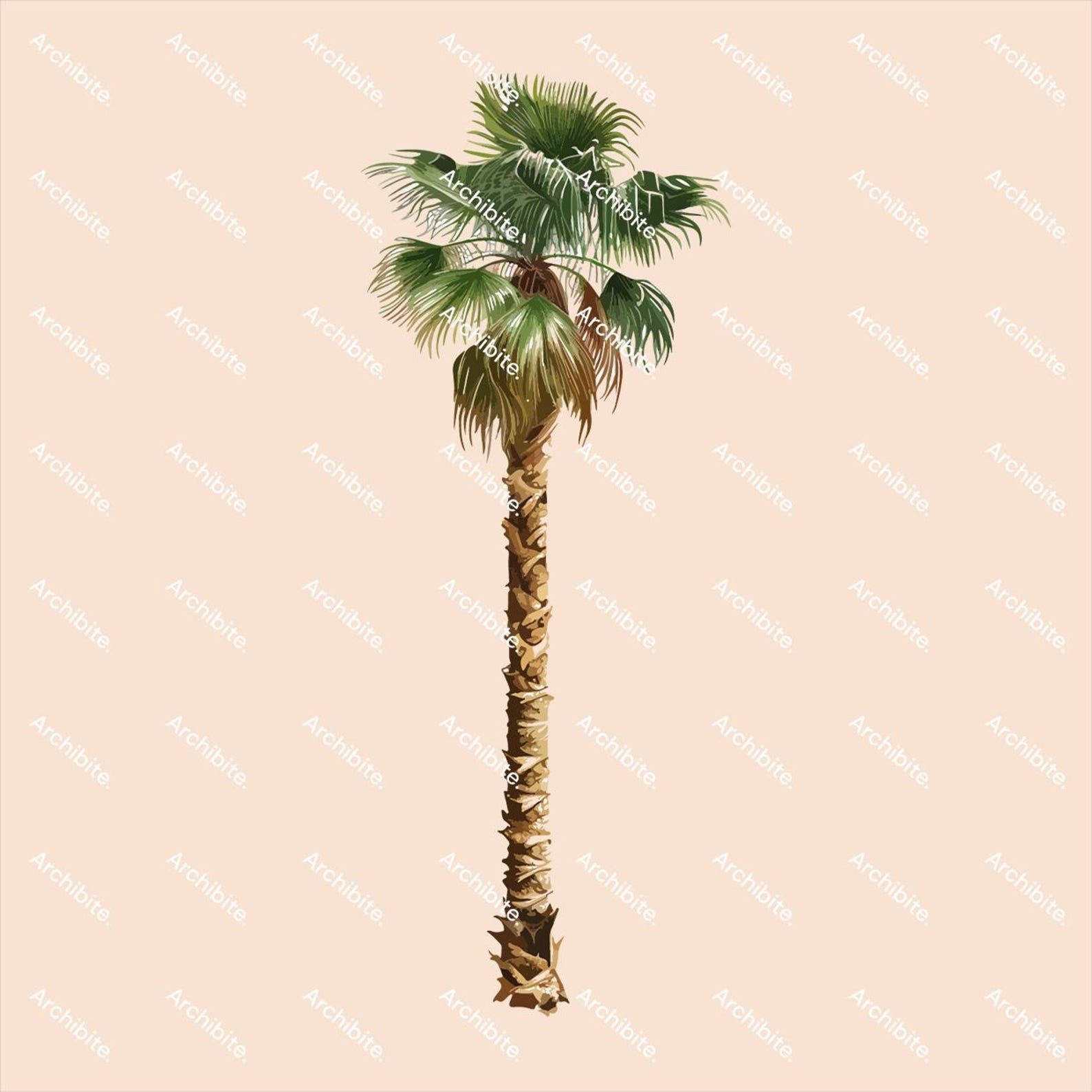 Vector Cutouts - Palm Trees Elevation - Etsy