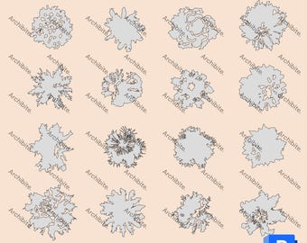 Revit Detail Item - Summer Trees Plan - Etsy