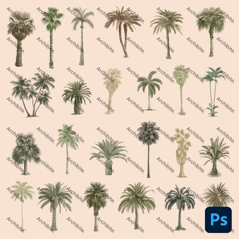 Photoshop Brushes - Palm Trees Elevation - Etsy