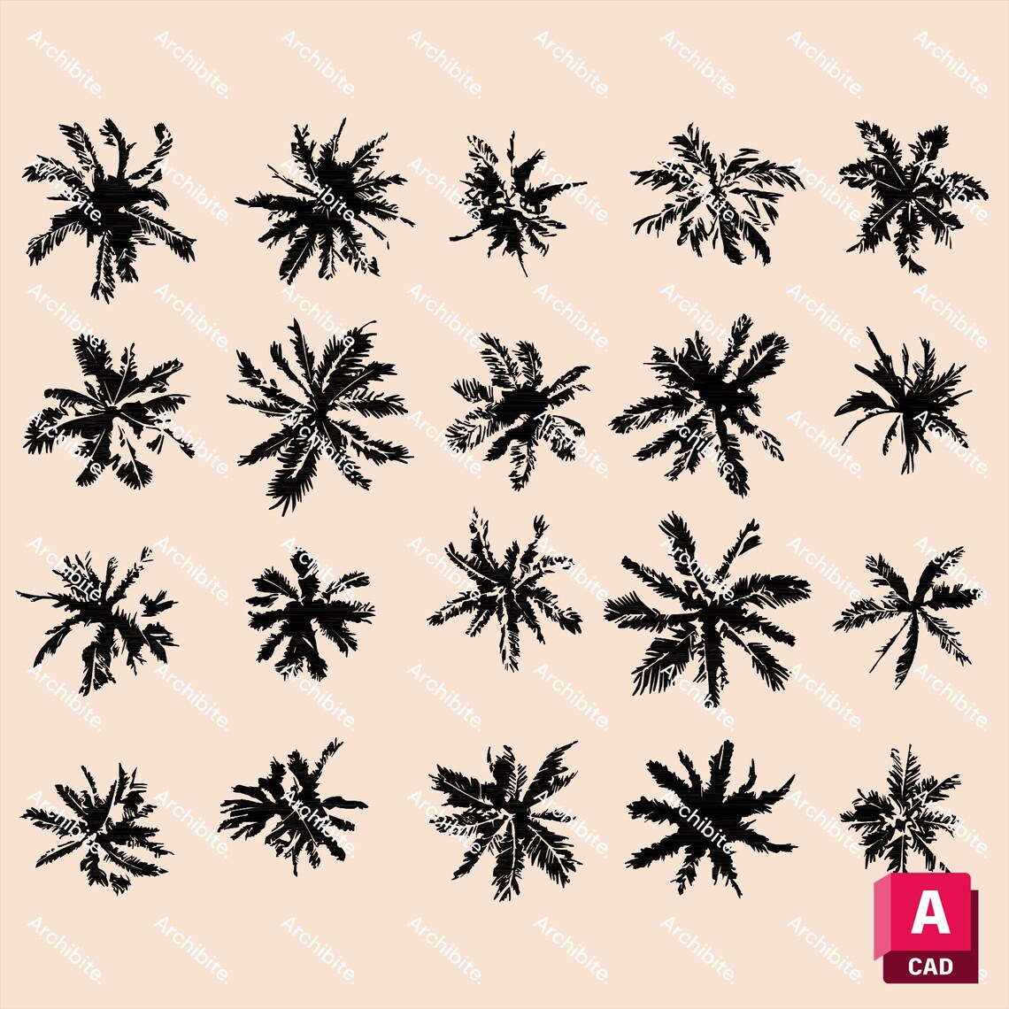 DWG - Palm Trees Plan - Etsy