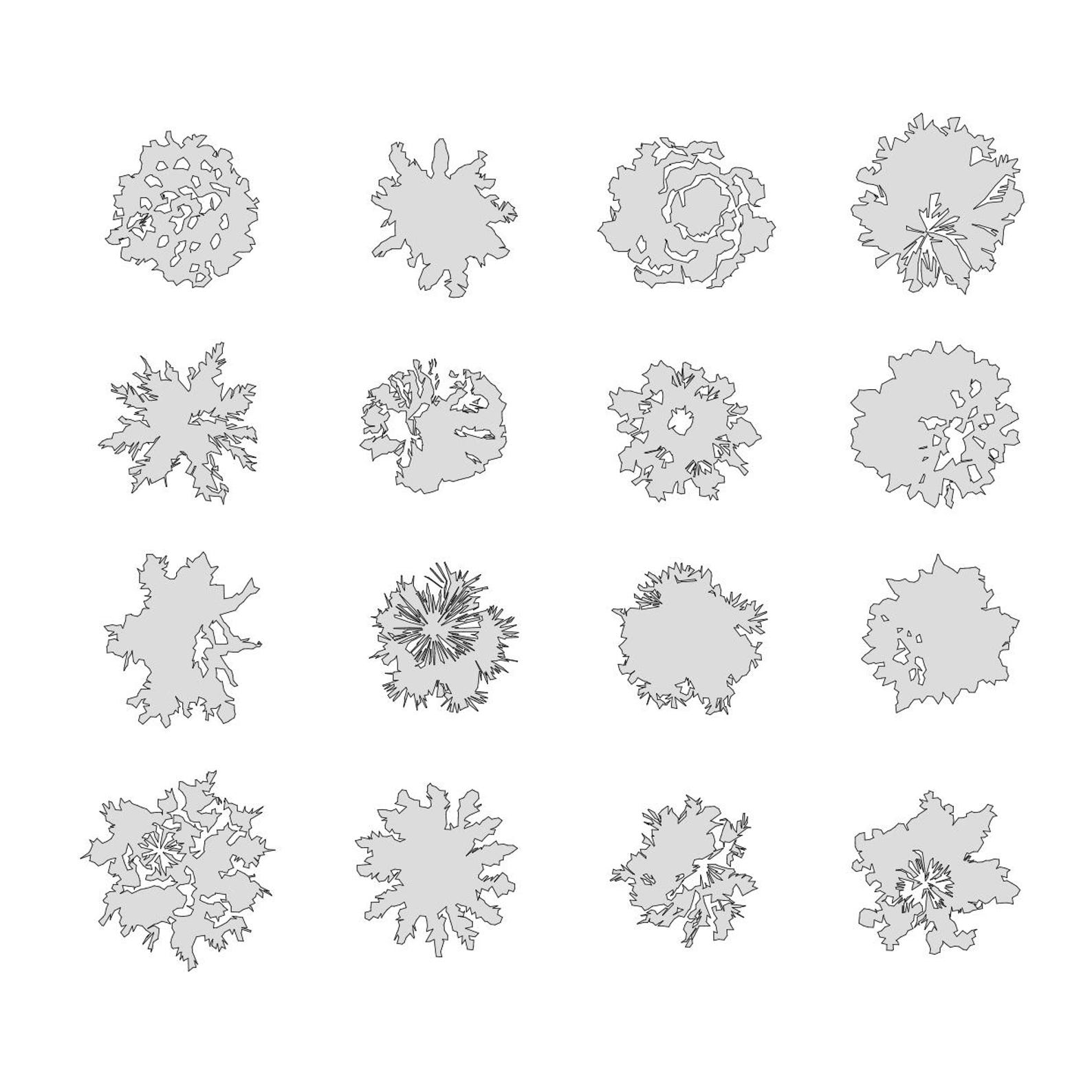 Revit Detail Item Conifer Trees Plan - Etsy