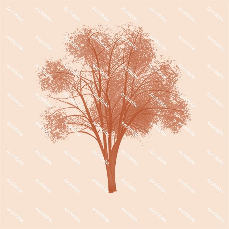 Photoshop Brushes - Autumn Trees Elevation - Etsy