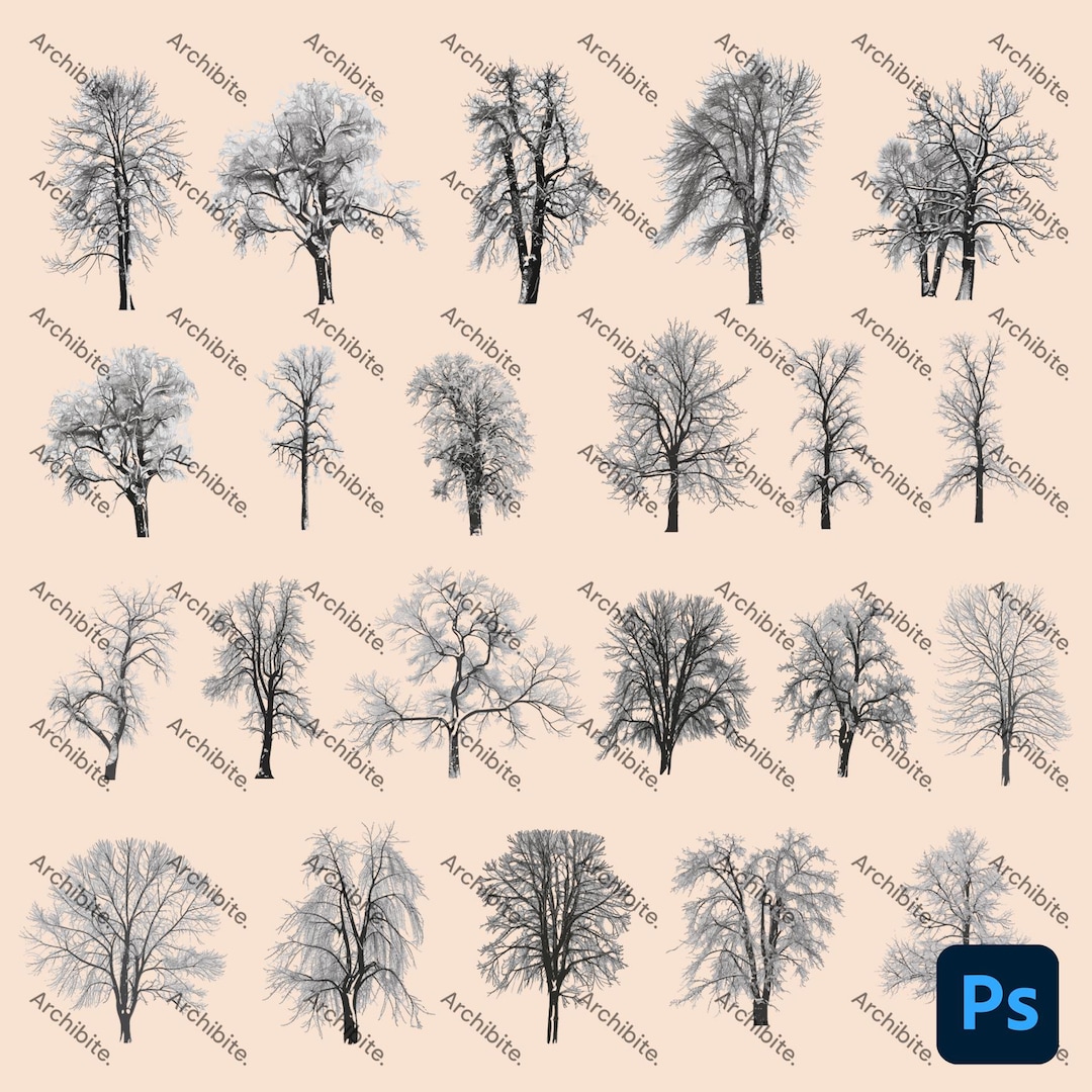 Photoshop Brushes - Winter Trees Elevation - Etsy