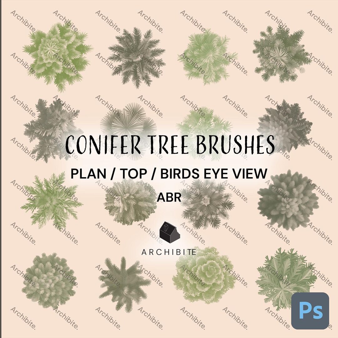 Photoshop Brushes - Conifer Tree Plan - Etsy