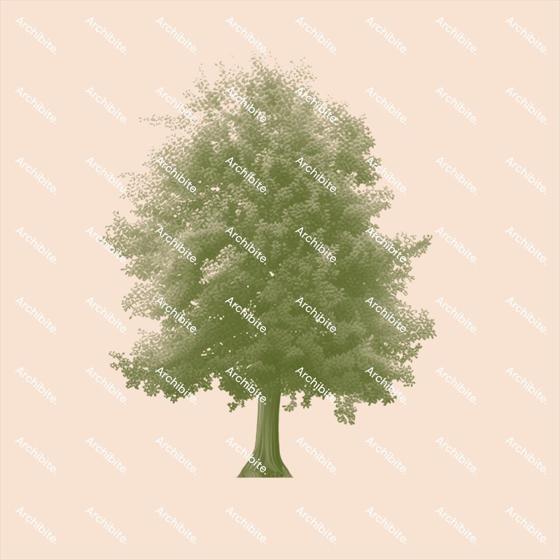 Photoshop Brushes - Summer Trees Elevation - Etsy