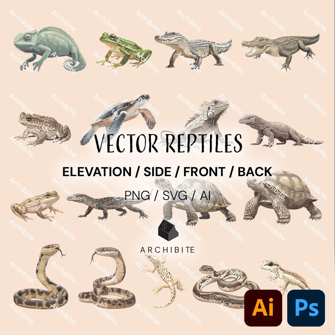 Vector Cutouts - Reptiles Elevation - Etsy