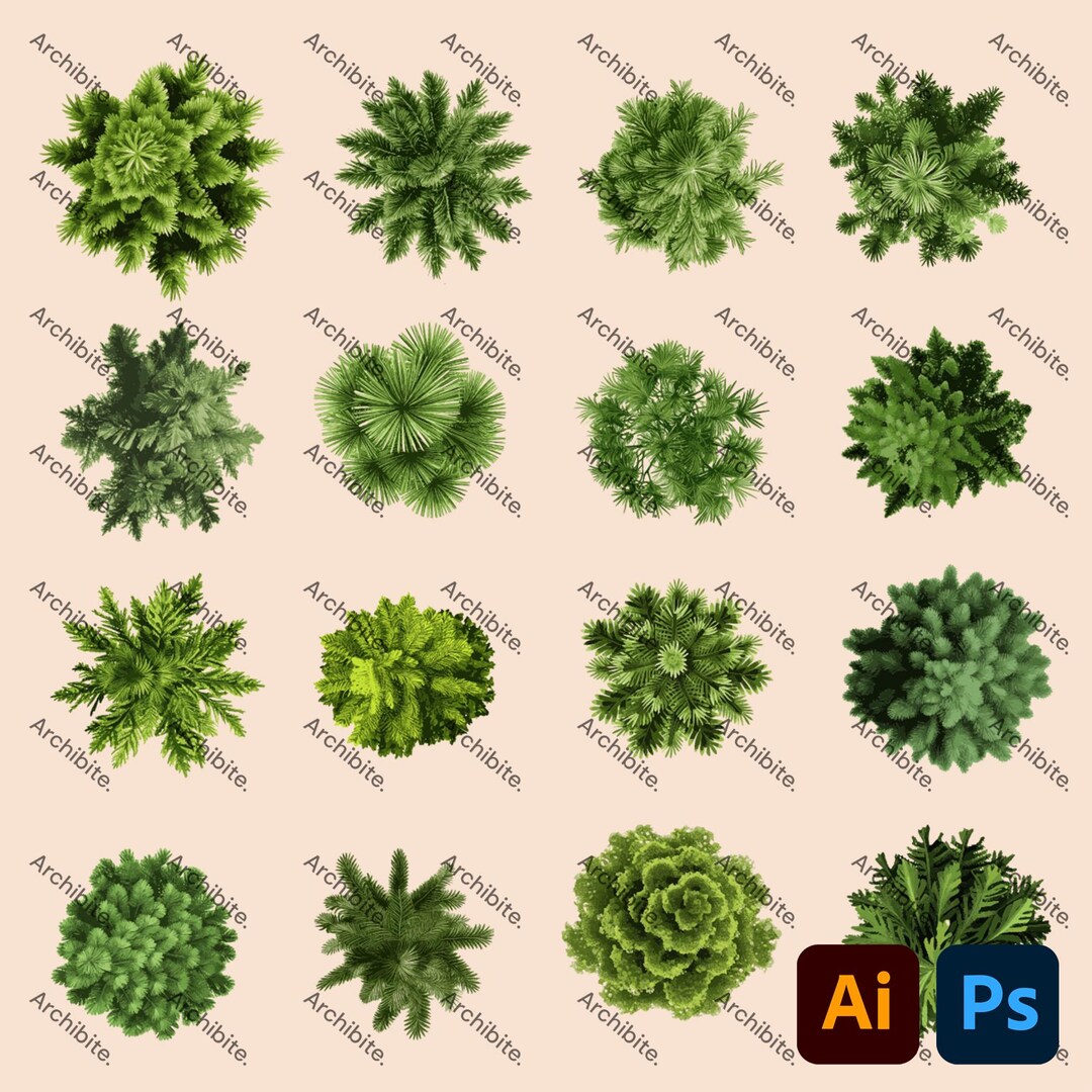 Vector Cutouts - Conifer Trees Plan - Etsy UK
