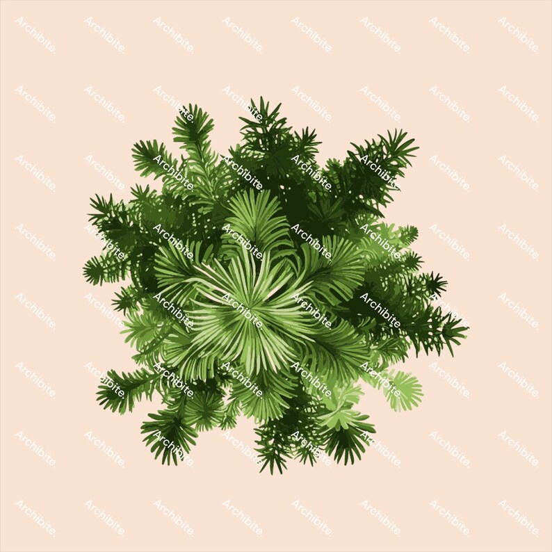 Vector Cutouts - Conifer Trees Plan - Etsy