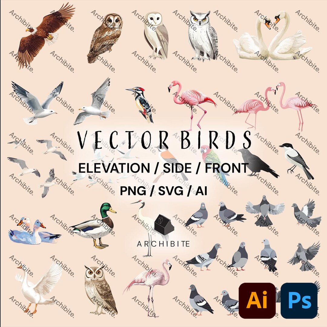 Vector Side View Birds - Etsy