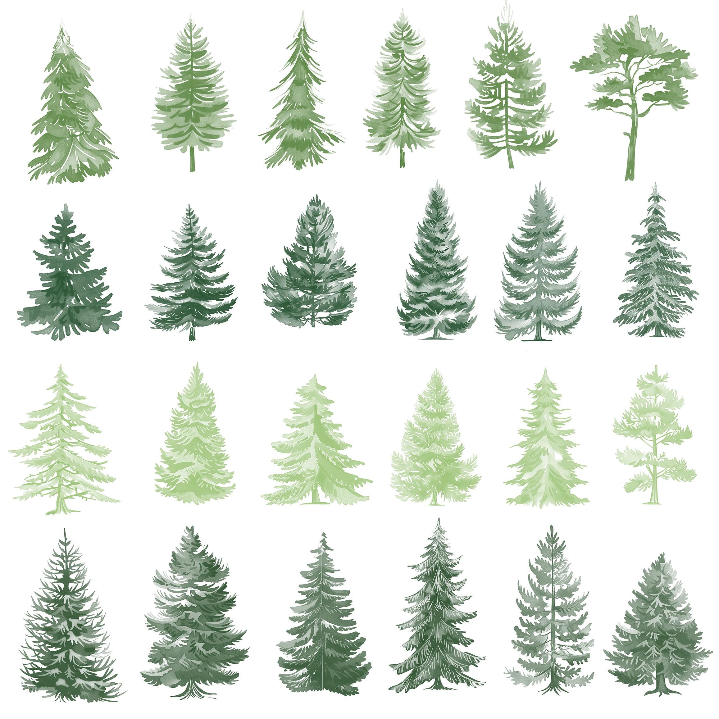 Photoshop Brushes Conifer Tree Elevation - Etsy