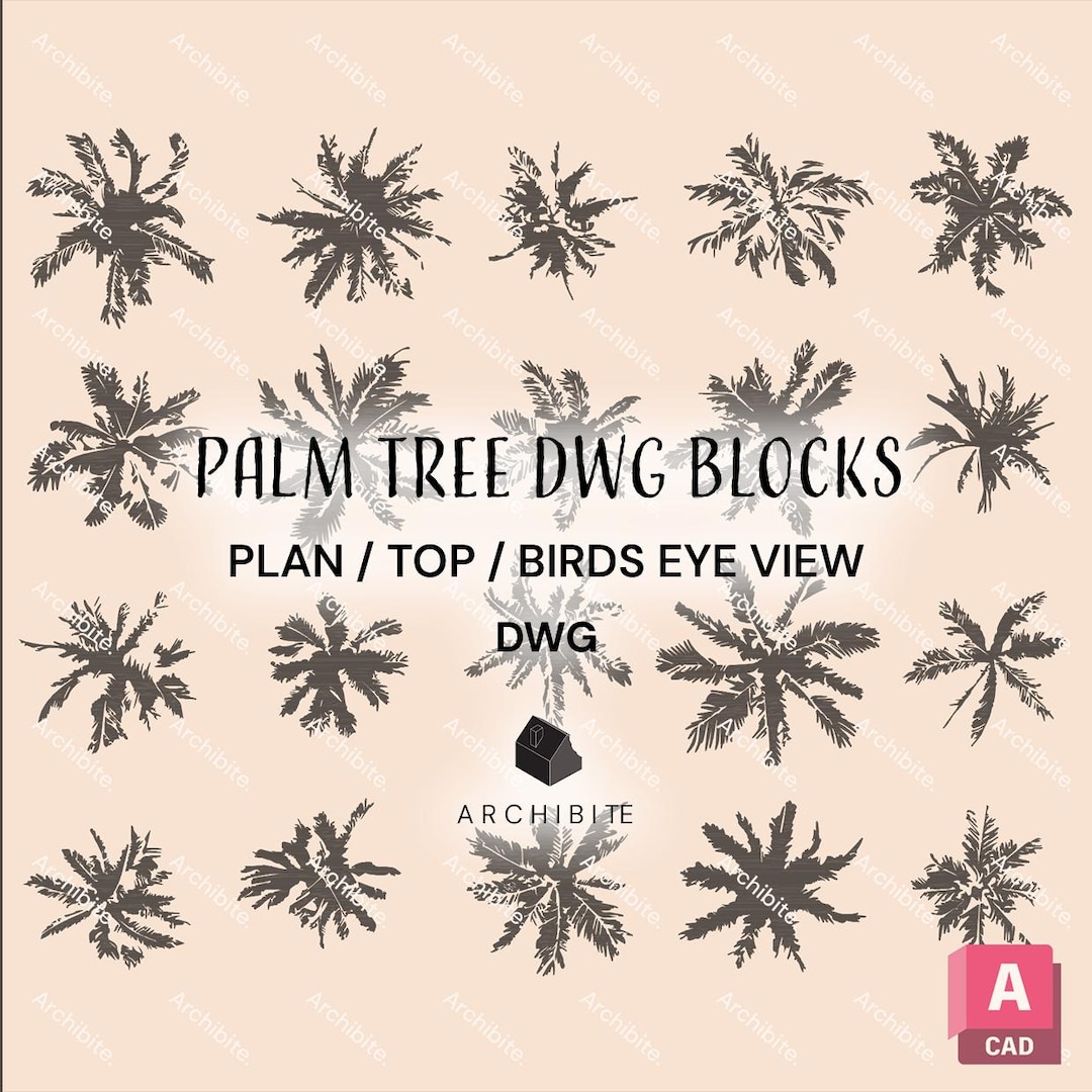 DWG - Palm Trees Plan - Etsy
