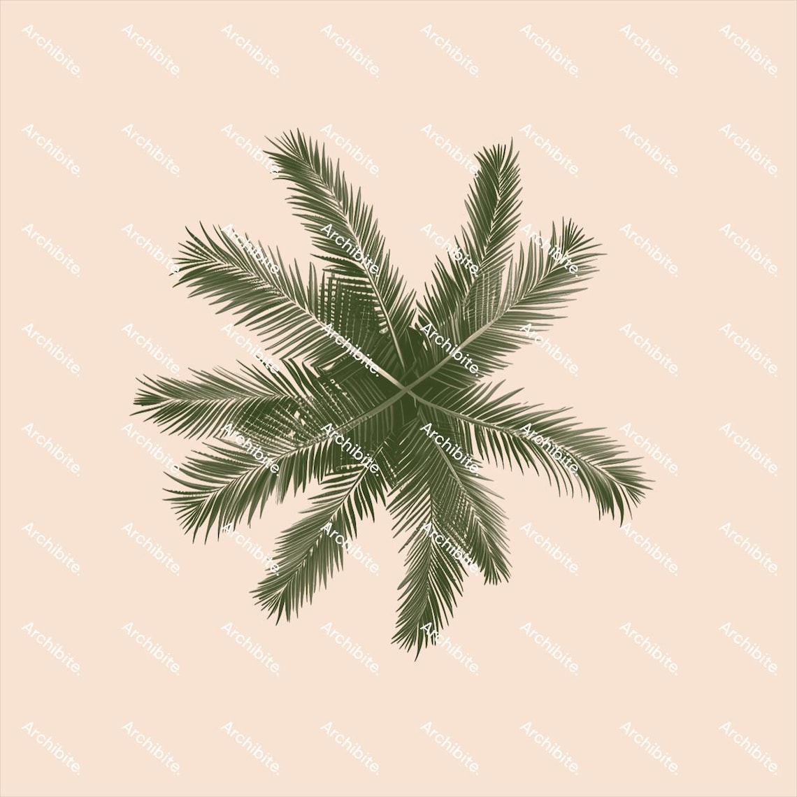 Photoshop Brushes - Palm Trees Plan - Etsy