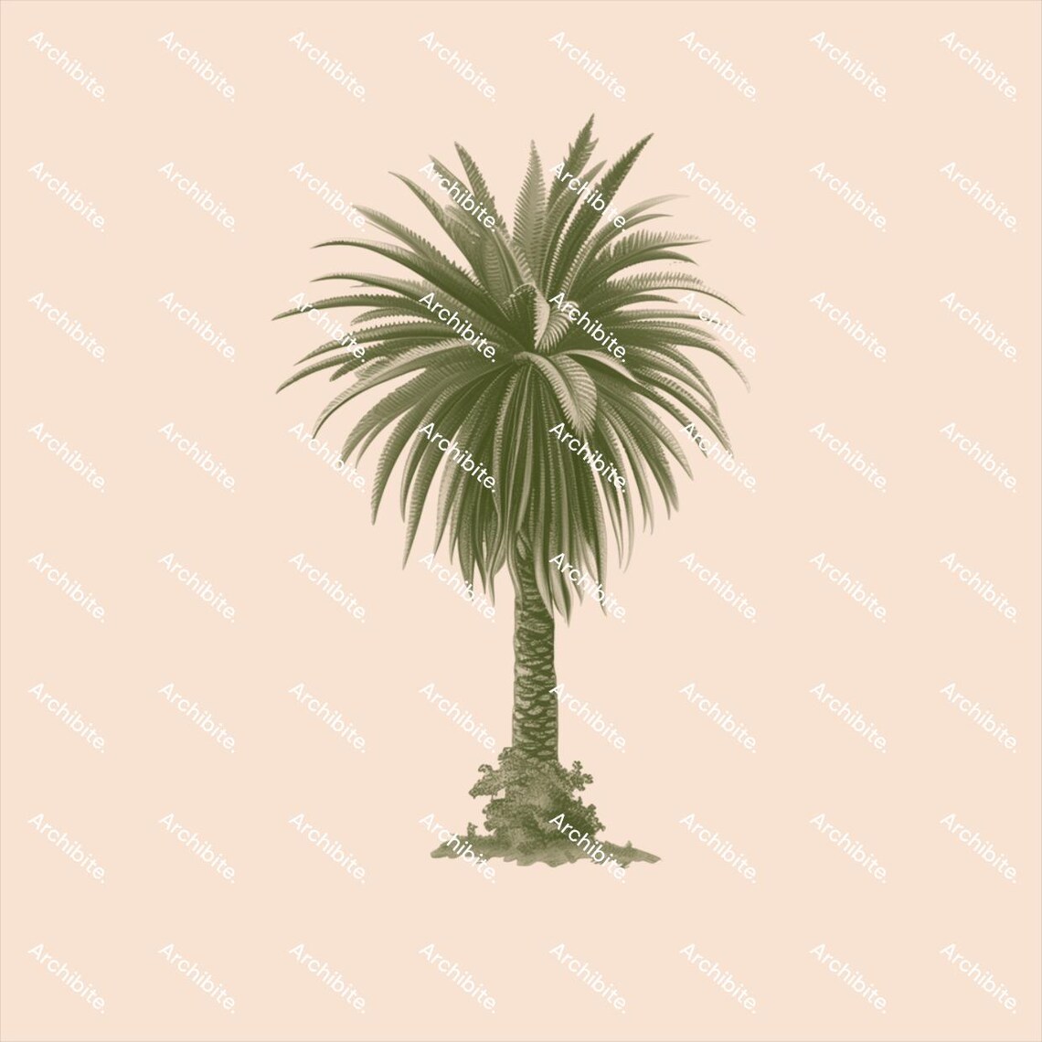 Photoshop Brushes - Palm Trees Elevation - Etsy