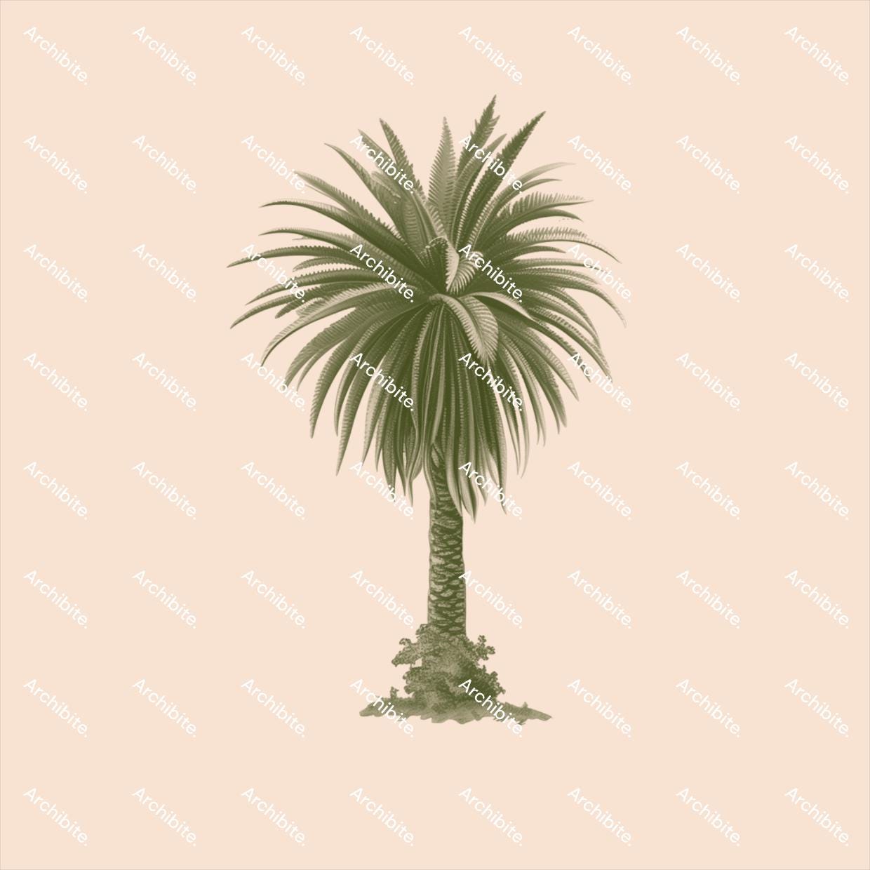 Photoshop Brushes - Palm Trees Elevation - Etsy