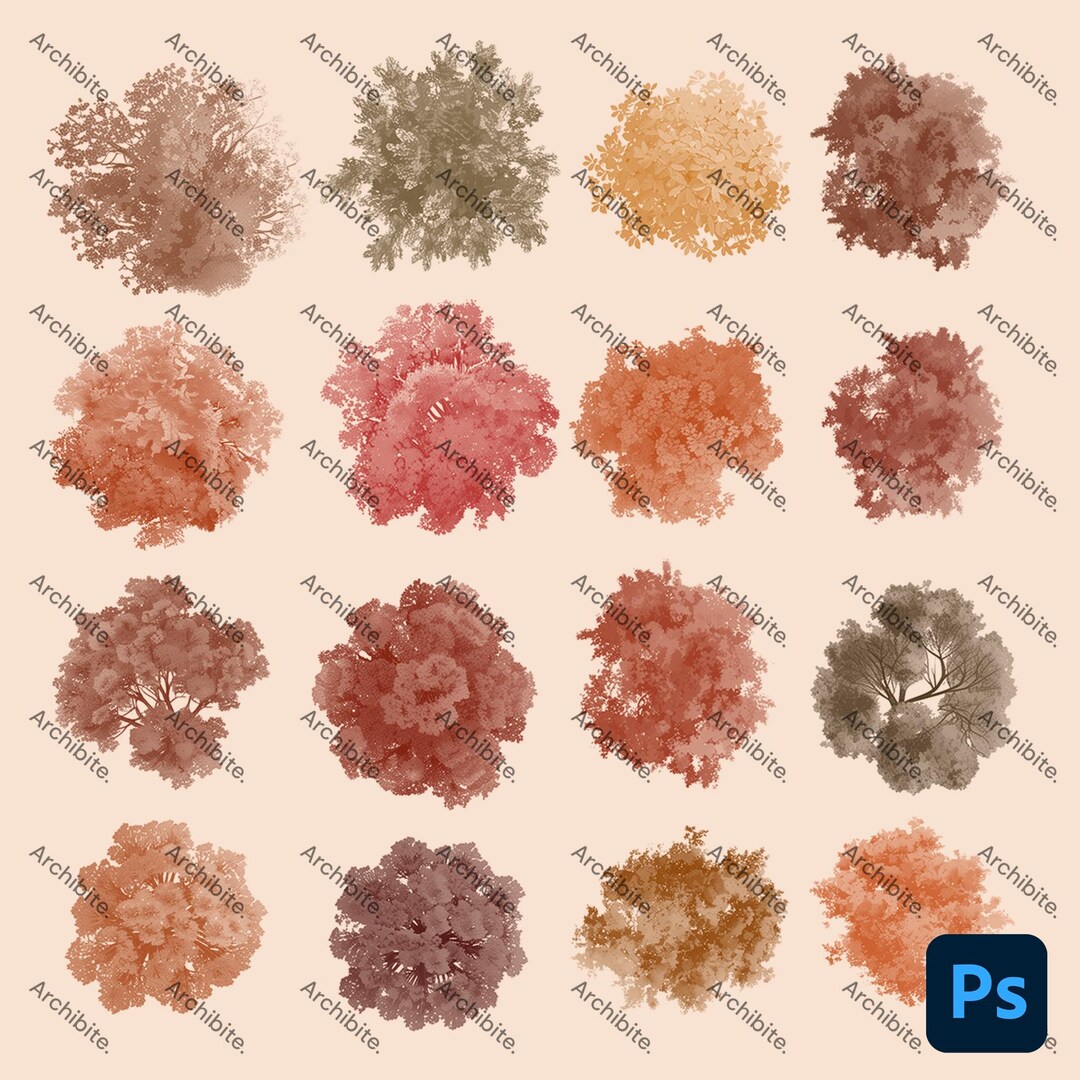 Photoshop Brushes - Autumn Trees Plan - Etsy