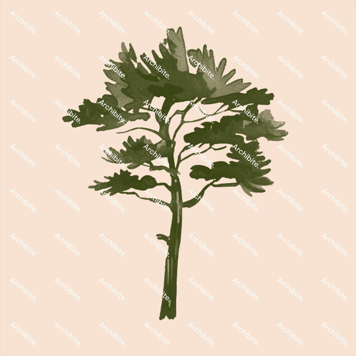 Photoshop Brushes - Conifer Tree Elevation - Etsy