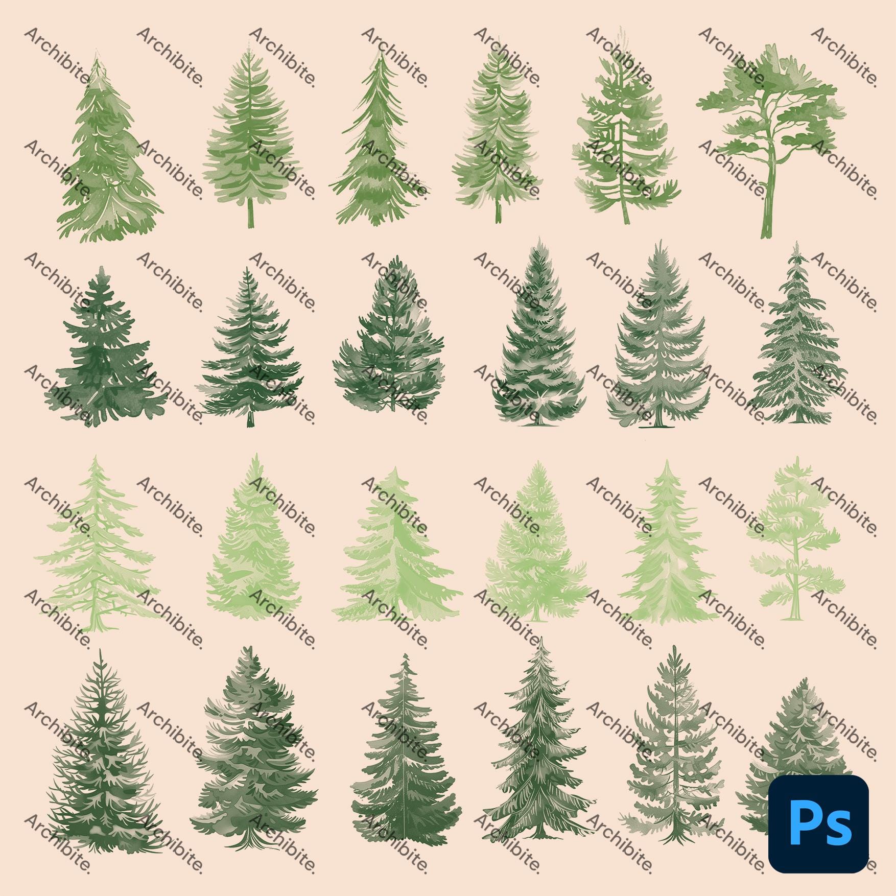 Photoshop Brushes - Conifer Tree Elevation - Etsy