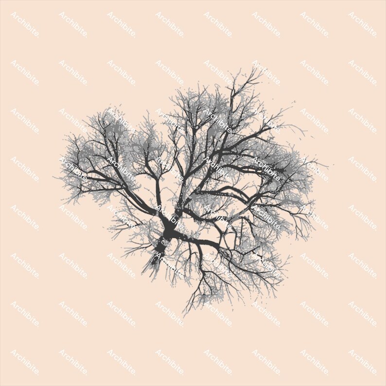 Photoshop Brushes - Winter Trees Plan - Etsy