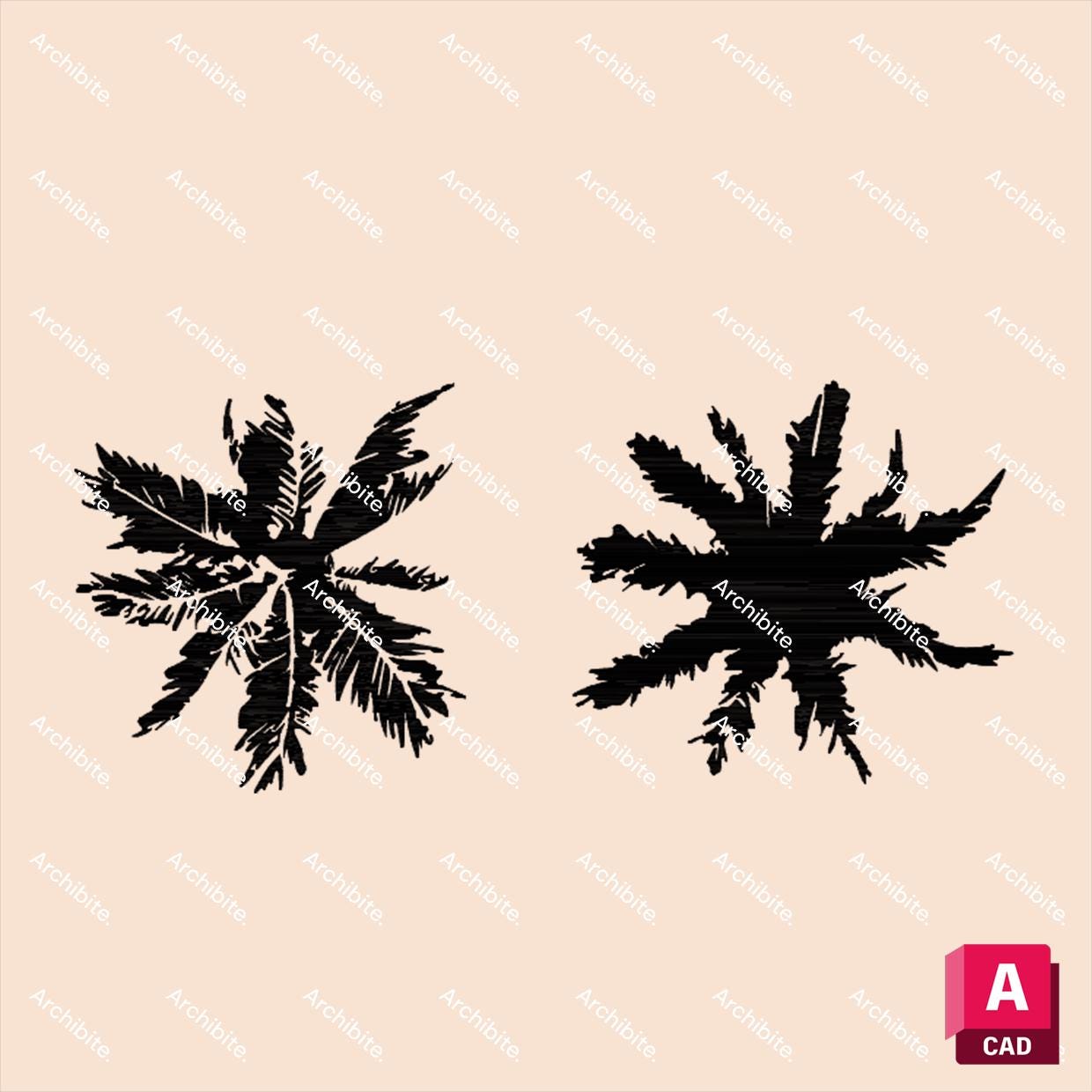 DWG - Palm Trees Plan - Etsy