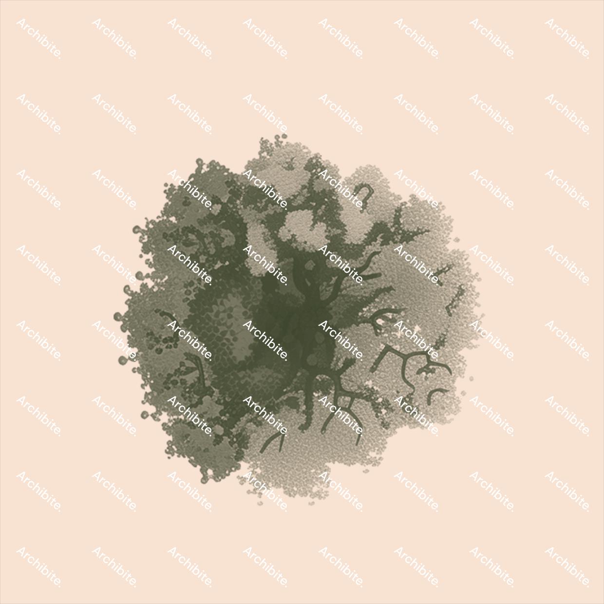 Photoshop Brushes - Summer Trees Plan - Etsy