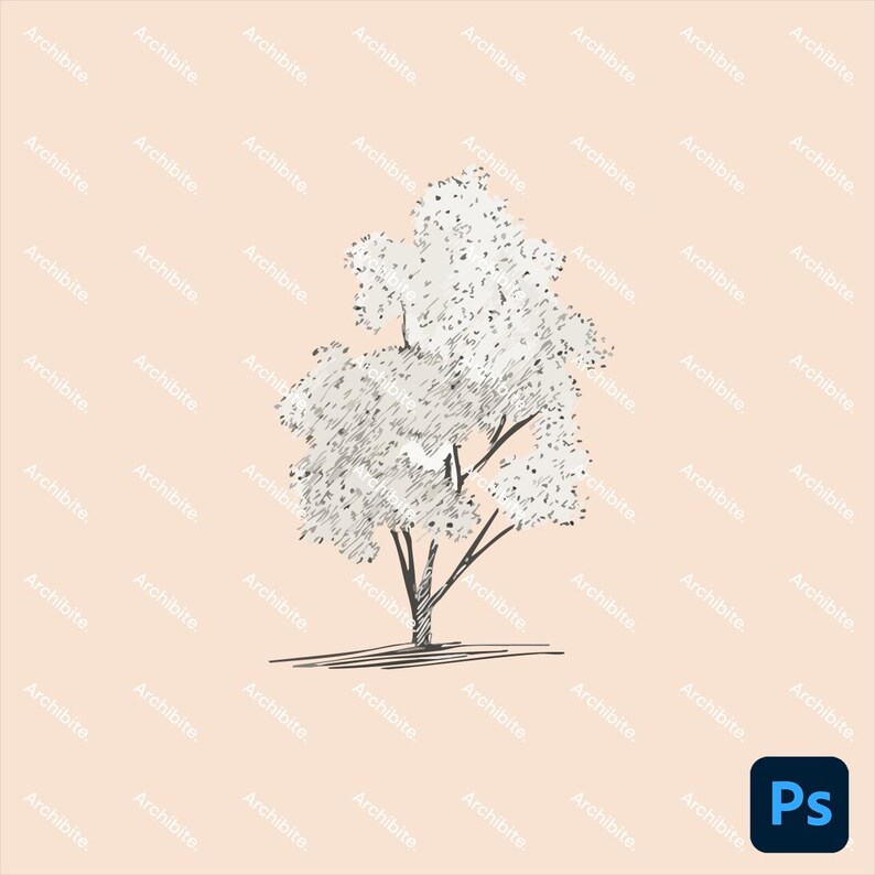 Photoshop Brushes - Hand Drawn Simple Trees Elevation 2 - Etsy