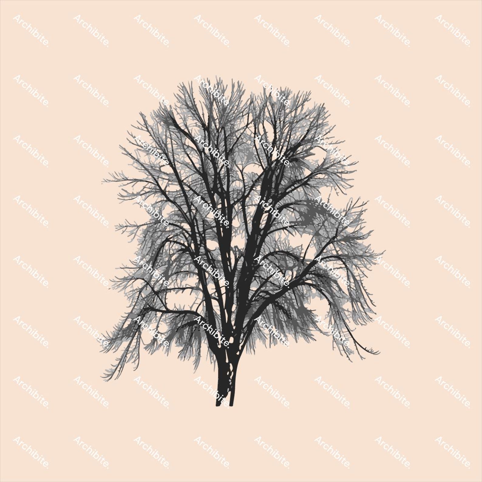 Photoshop Brushes - Winter Trees Elevation - Etsy