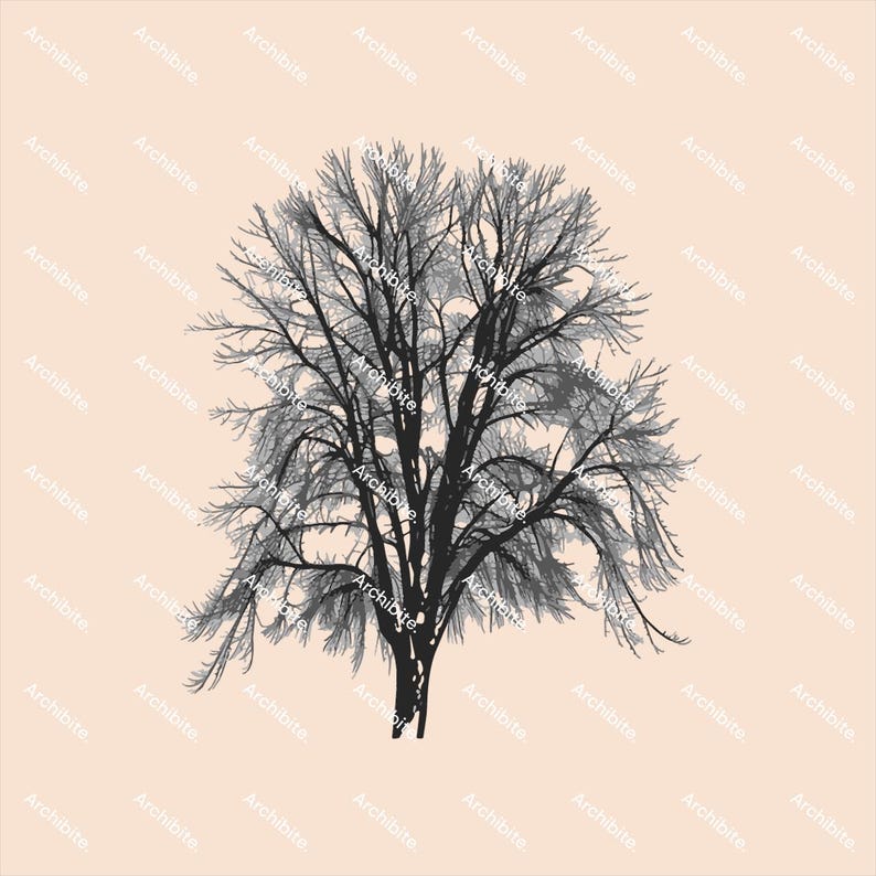 Photoshop Brushes - Winter Trees Elevation - Etsy