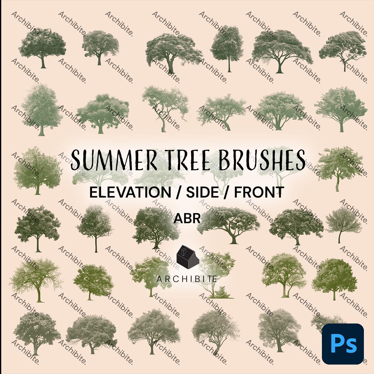Photoshop Brushes - Summer Trees Elevation - Etsy