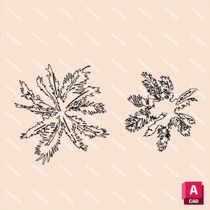 DWG - Palm Trees Plan - Etsy