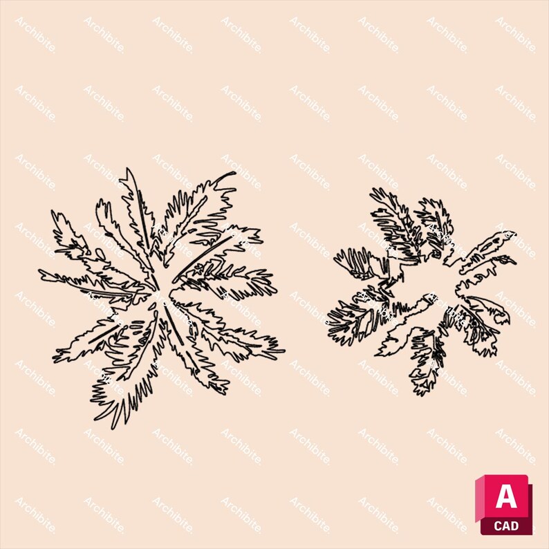 DWG - Palm Trees Plan - Etsy