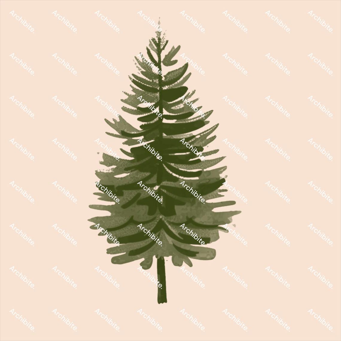 Photoshop Brushes - Conifer Tree Elevation - Etsy