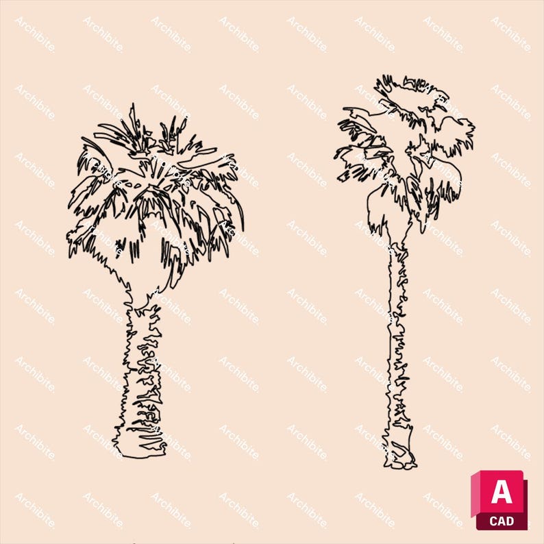 DWG - Palm Trees Elevation - Etsy