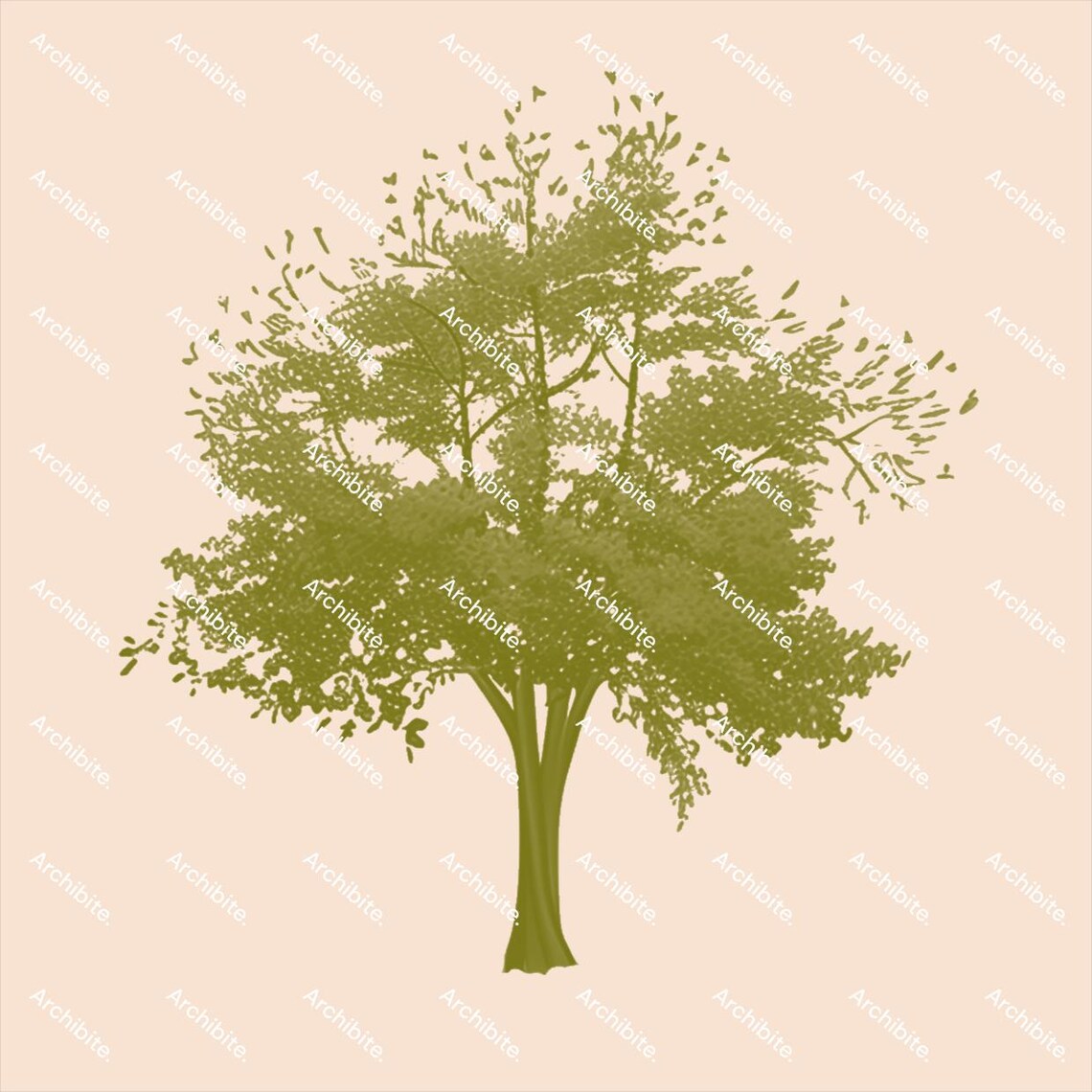 Photoshop Brushes - Autumn Trees Elevation - Etsy