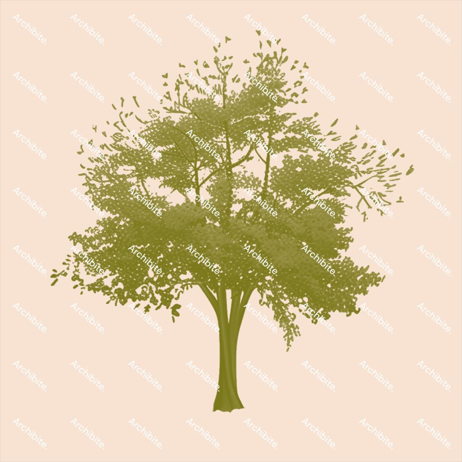 Photoshop Brushes - Autumn Trees Elevation - Etsy