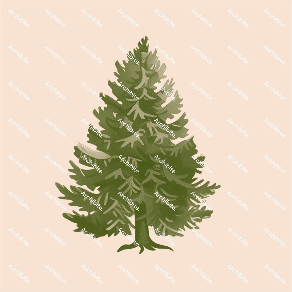 Photoshop Brushes - Conifer Tree Elevation - Etsy